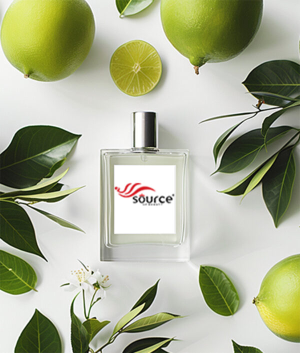 Wholesale Perfumes & Fragrances Supplier | Private Label | SOB