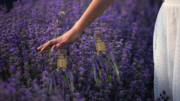 What Are Natural Fragrances? A Guide for Perfumers - Source of Beauty ...