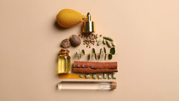 What’s the Most Important Ingredients in Perfumes? - Source of Beauty ...