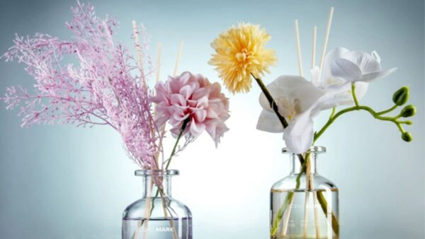 Wholesale Reed Diffusers: A Complete Guide for Bulk Buyers - Source of ...