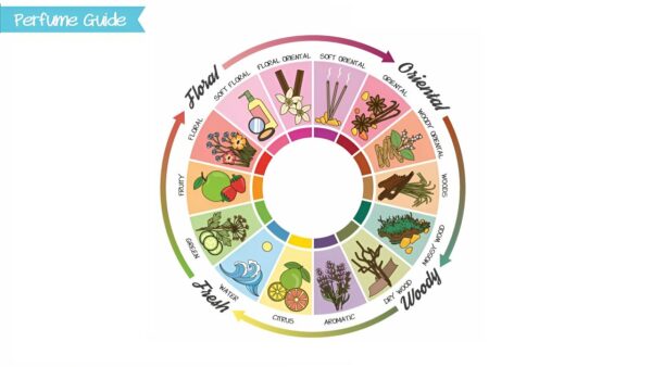The Fragrance Wheel Explained: How To Expertly Pair Scents